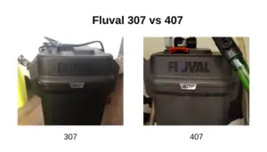 Fluval 307 vs 407: Here Are The Differences! - For Fish Lovers